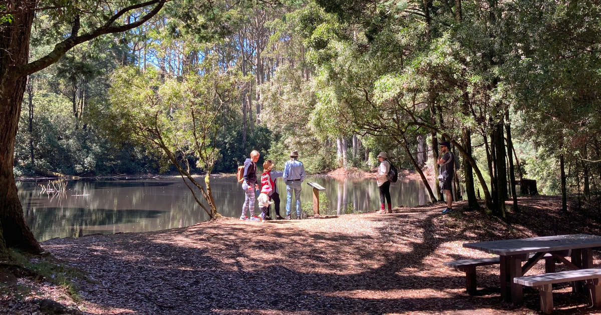 Sanatorium Lake and Days Picnic Ground, Mount Macedon - Walking Maps