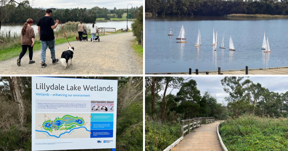 Lillydale Lake and Hull Rd Wetlands Trail, Lilydale. Step and Connect ...