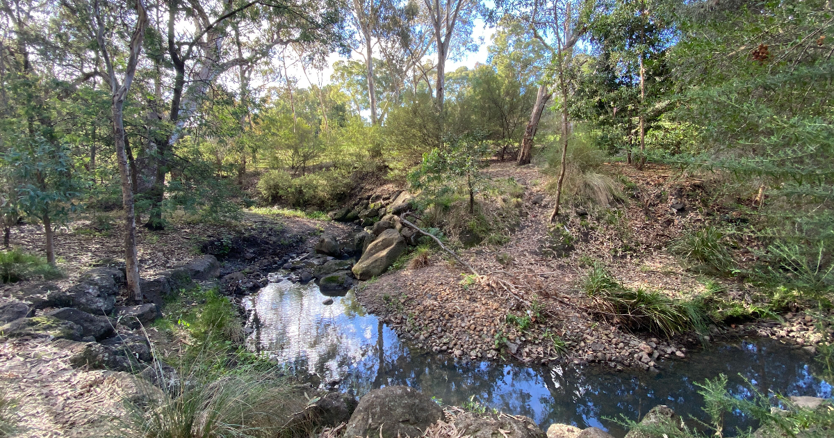 Westbreen Creek Walk, Pascoe Vale - Walking Maps