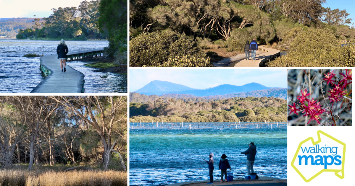 Merimbula Boardwalk - Walking Maps