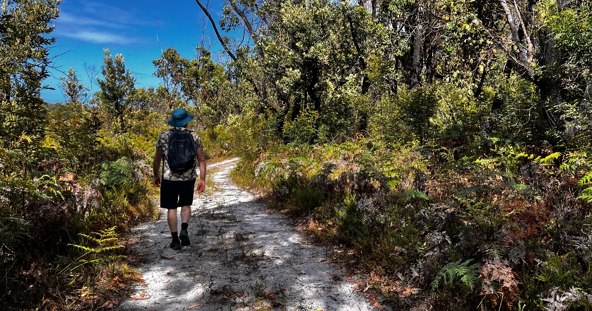 Heathland Walk, Cape Conran - Walking Maps