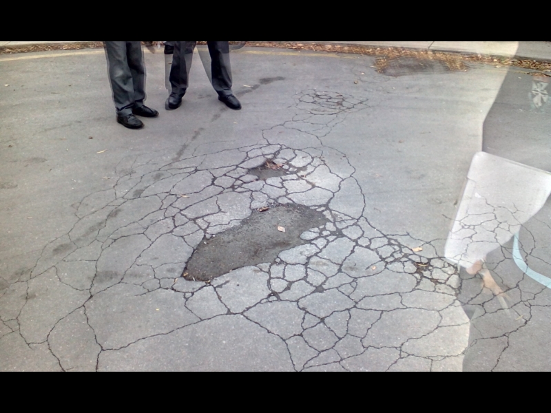 Prospect Walkability audit - Walking Maps