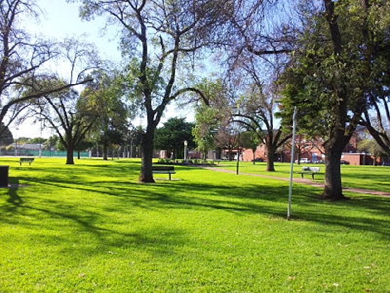 Prospect Walkability - Walking Maps