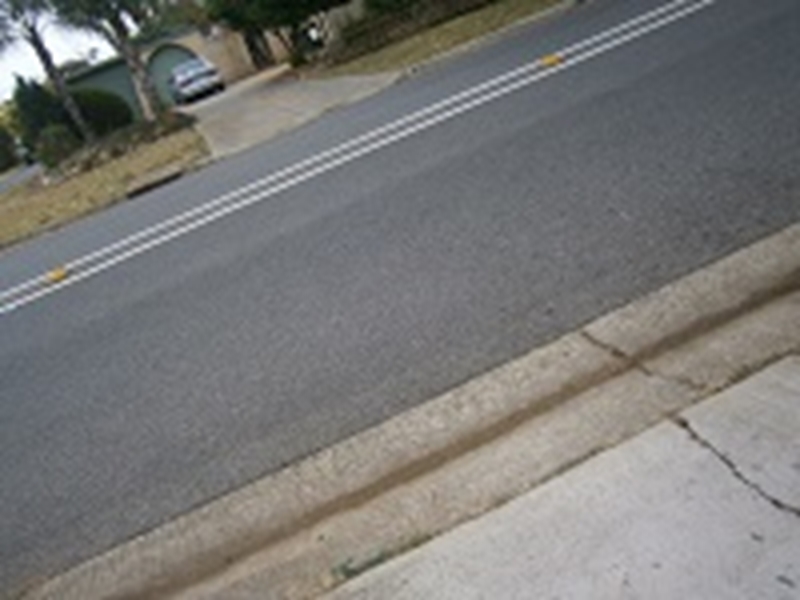 Kiara and Skye's Walkability Audit - Walking Maps