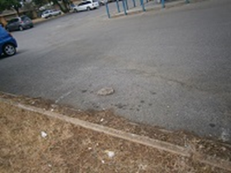 Kiara and Skye's Walkability Audit - Walking Maps