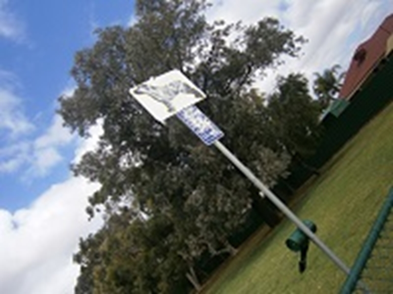 Kiara and Skye's Walkability Audit - Walking Maps