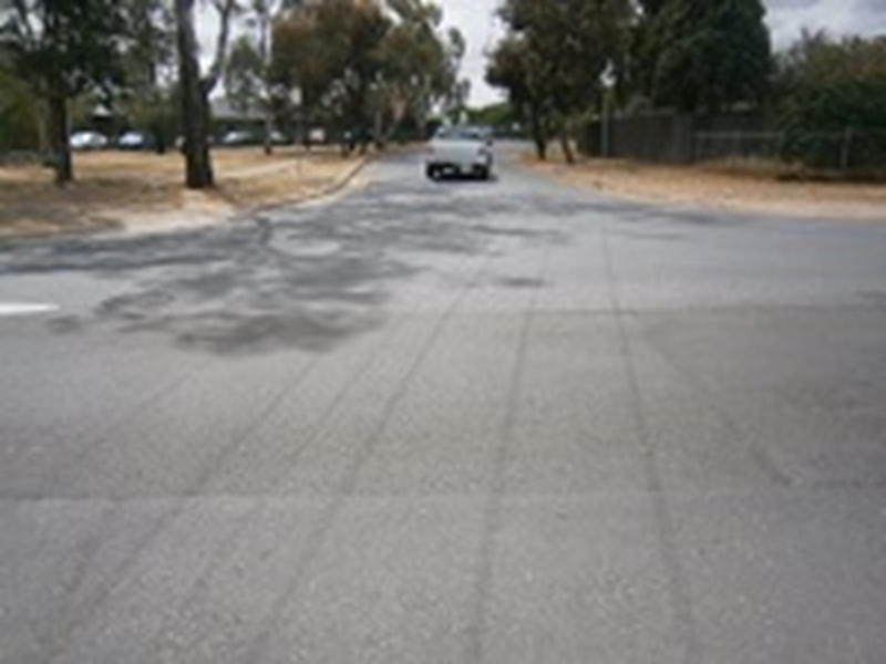 Kiara and Skye's Walkability Audit - Walking Maps