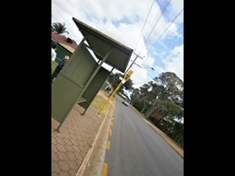 Kiara and Skye's Walkability Audit - Walking Maps