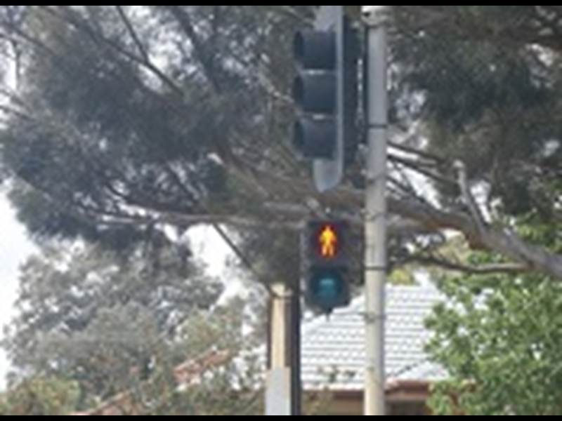 Kiara and Skye's Walkability Audit - Walking Maps