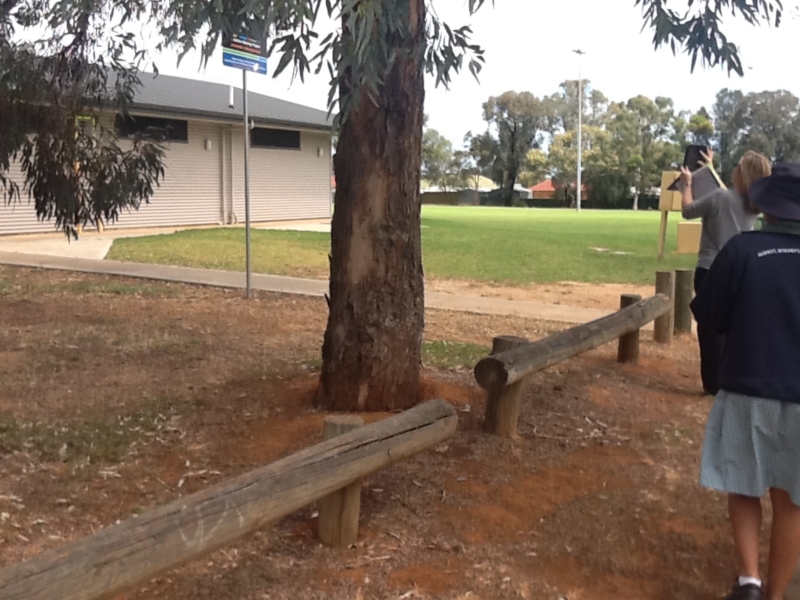 school project on walkability - Walking Maps