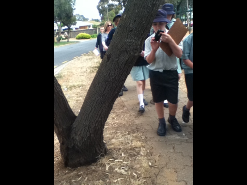 Tyndale walkability project - Walking Maps