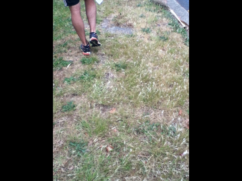 Tyndale walkability project - Walking Maps