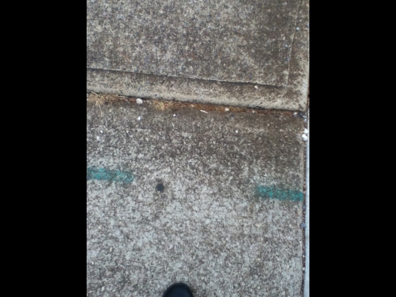 Tyndale walkability project - Walking Maps