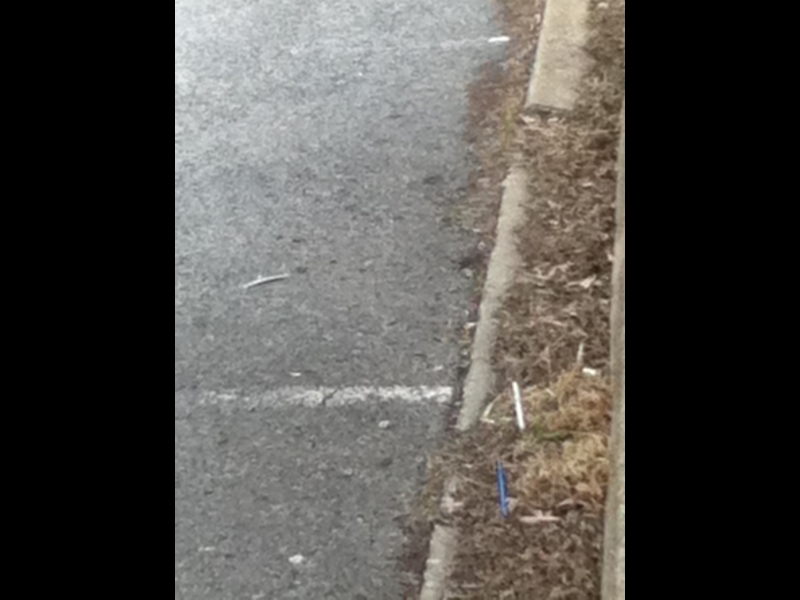 Tyndale walkability project - Walking Maps