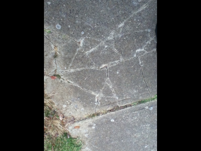 Tyndale walkability project - Walking Maps