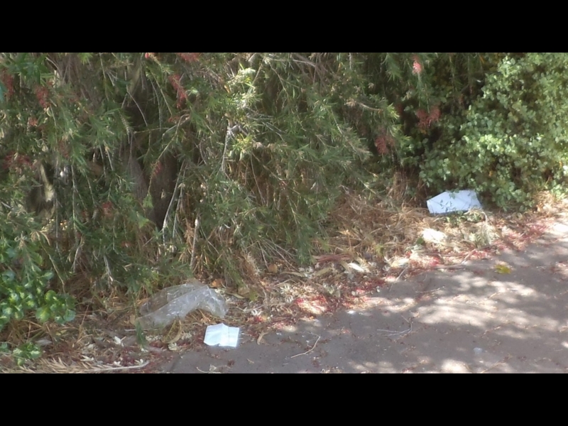 Salisbury Walkability - Walking Maps