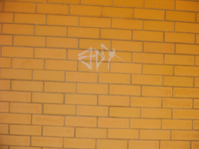 Salisbury Walkability - Walking Maps