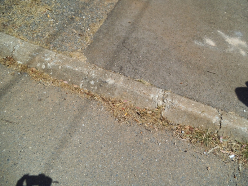 Salisbury Walkability - Walking Maps