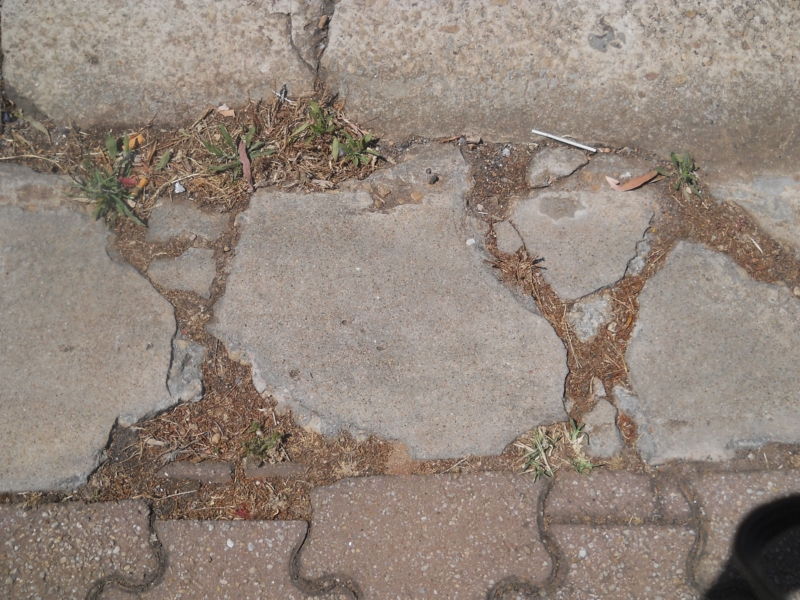 tyndale walkability - Walking Maps