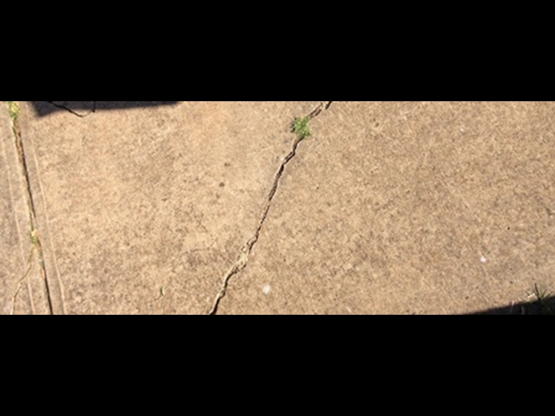 Tyndale Christian school Walkability Audit - Walking Maps