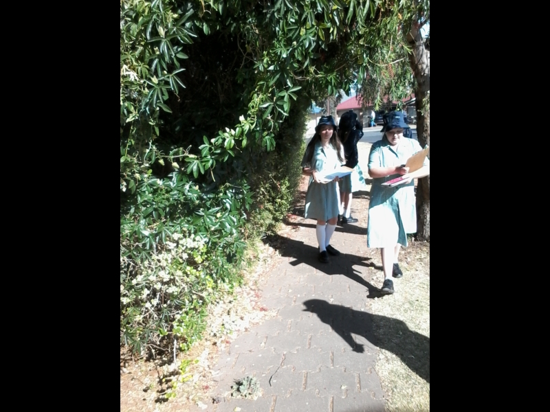 walkability project - Walking Maps