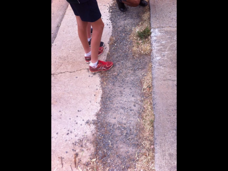 Walkibility Audit Check - Walking Maps