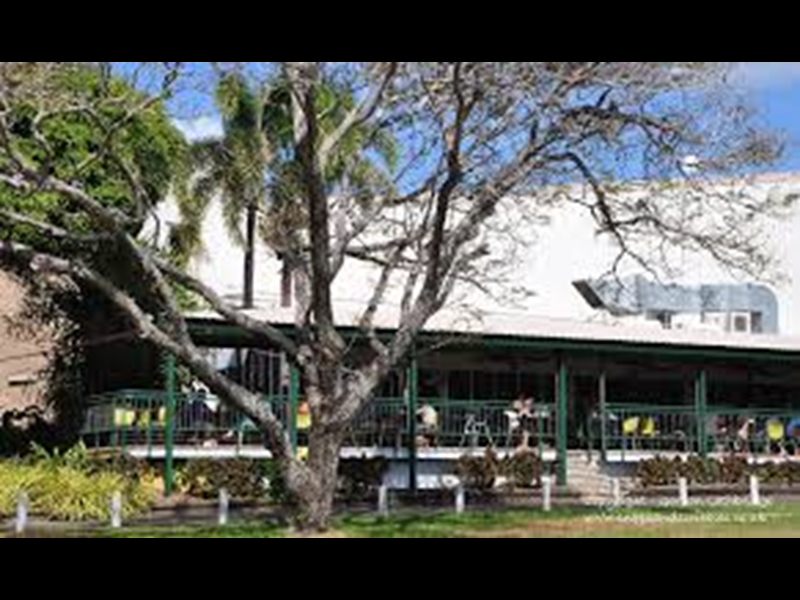 Darwin museum walkability report walk - Walking Maps