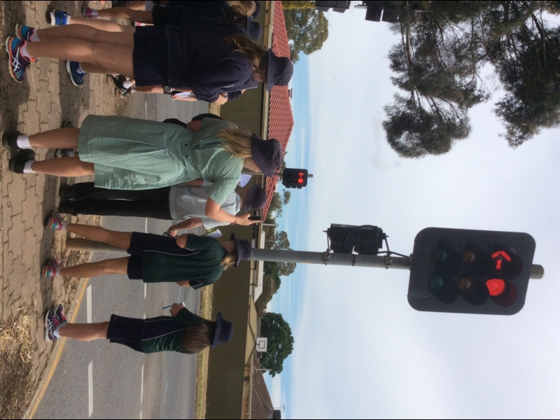 TCS Walkability Audit - Walking Maps