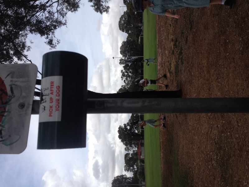 Year 7 SOSE Walkability - Walking Maps