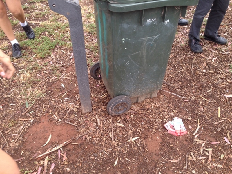 SOSE walkability audit project - Walking Maps