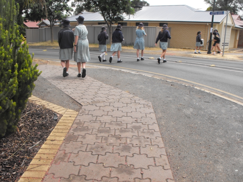 walkablity audit project - Walking Maps