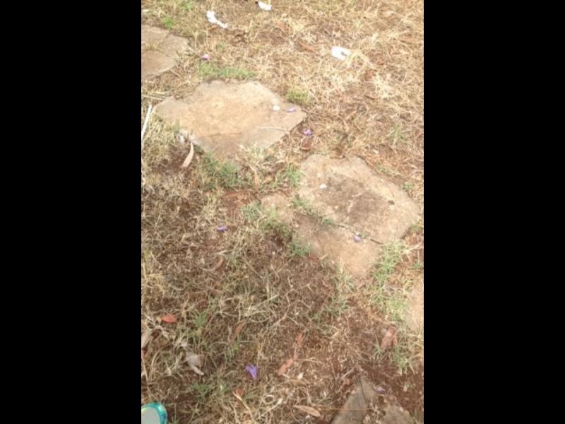 walkablity audit project - Walking Maps