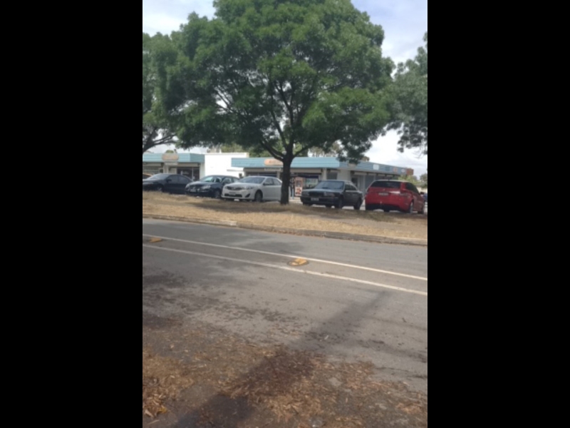 walkablity audit project - Walking Maps