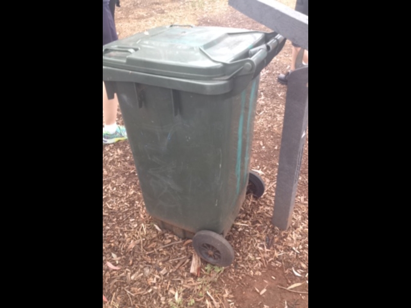 walkablity audit project - Walking Maps