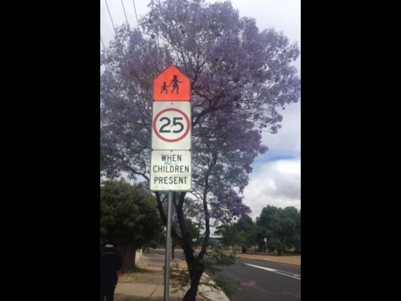 walkablity audit project - Walking Maps