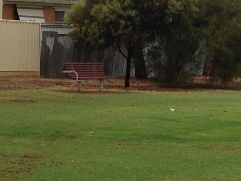 Walkability Audit project - Walking Maps