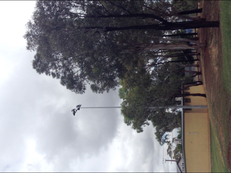 Walkability Audit project - Walking Maps