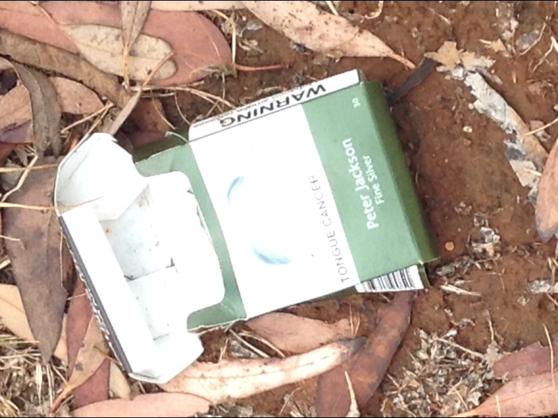 Walkability Audit project - Walking Maps