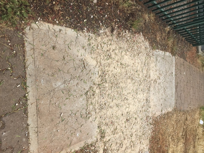 TCS walkability - Walking Maps