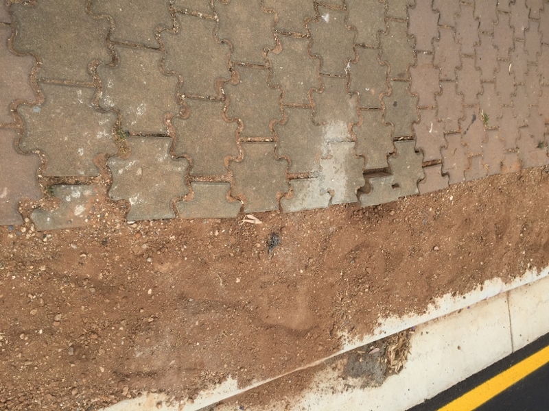 TCS walkability - Walking Maps