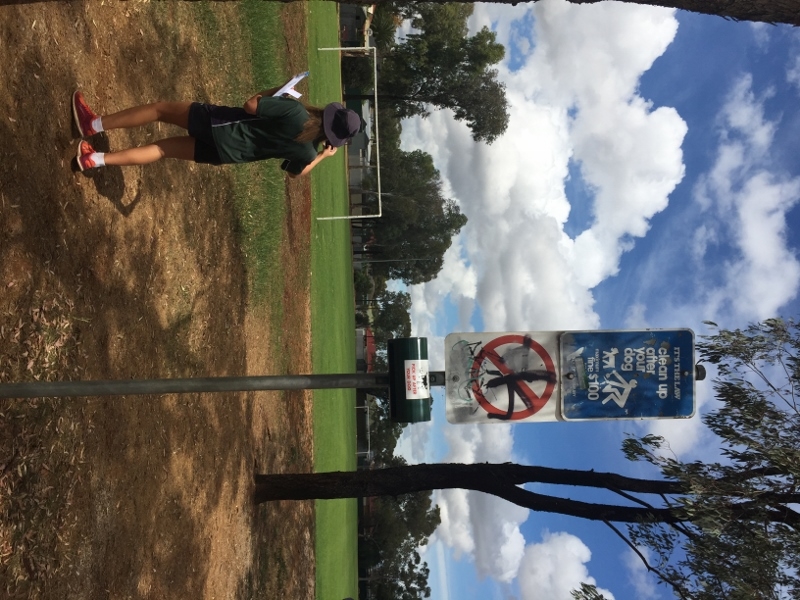 TCS walkability - Walking Maps