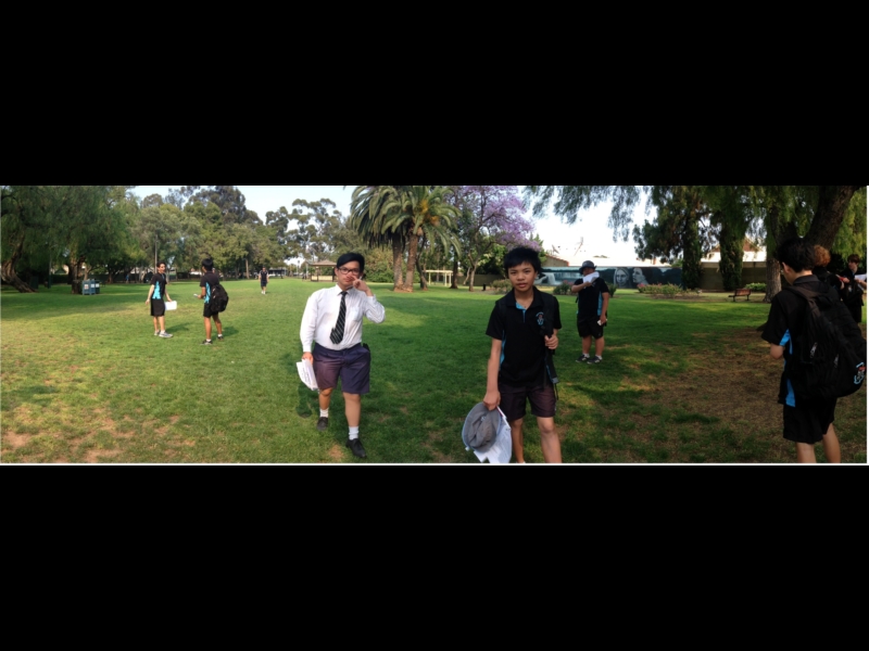 Prospect Walkability - Walking Maps