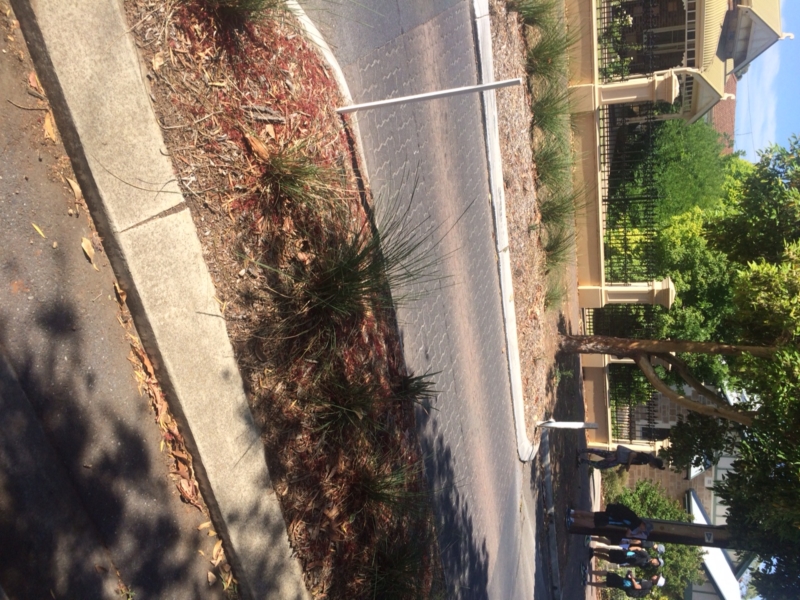 Walkability of Prospect. - Walking Maps