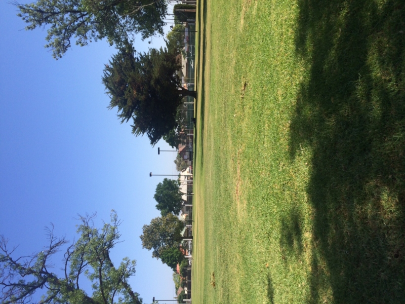 Walkability of Prospect. - Walking Maps