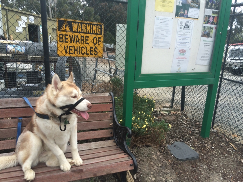 Upper Beaconsfield walk - Walking Maps