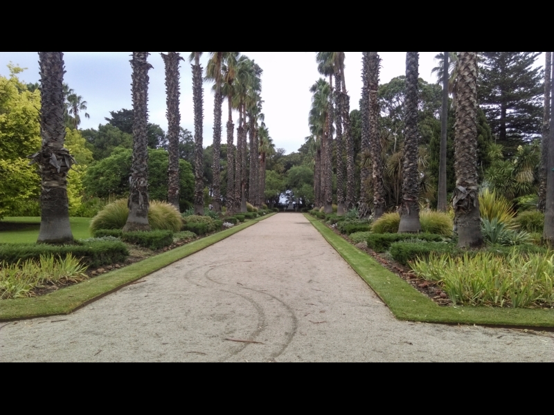 Williamstown botanical gardens - Walking Maps