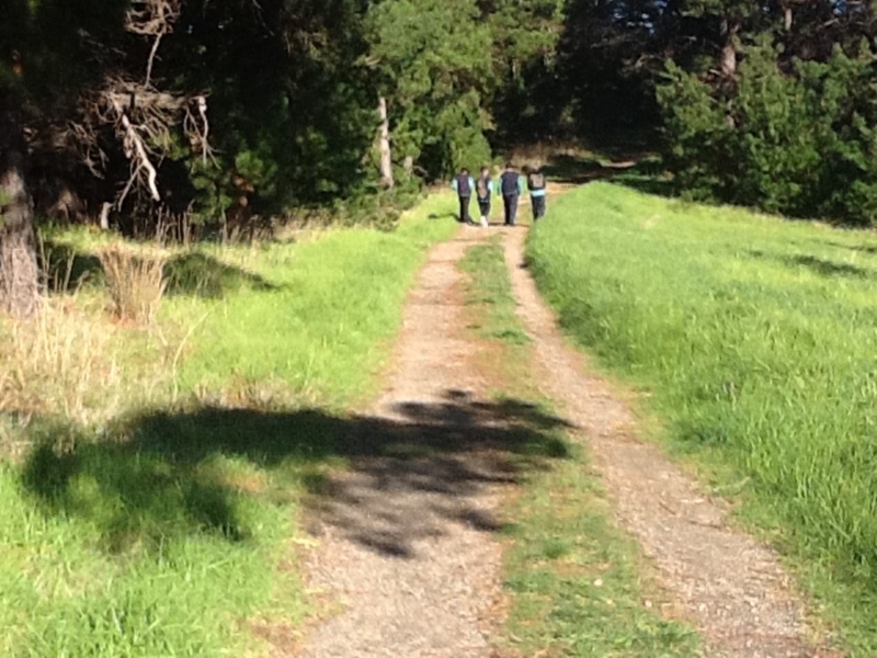 Devilbend - Walking Maps