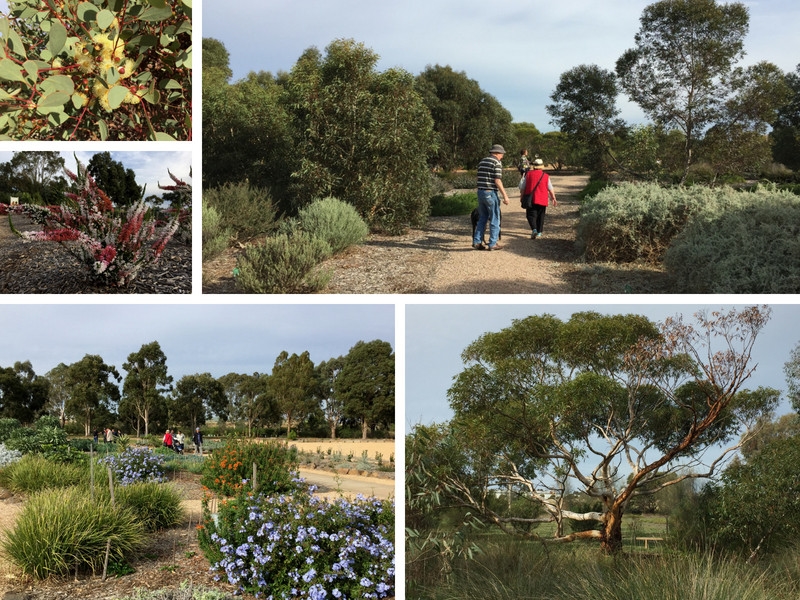 Melton Botanic Garden walk - Walking Maps