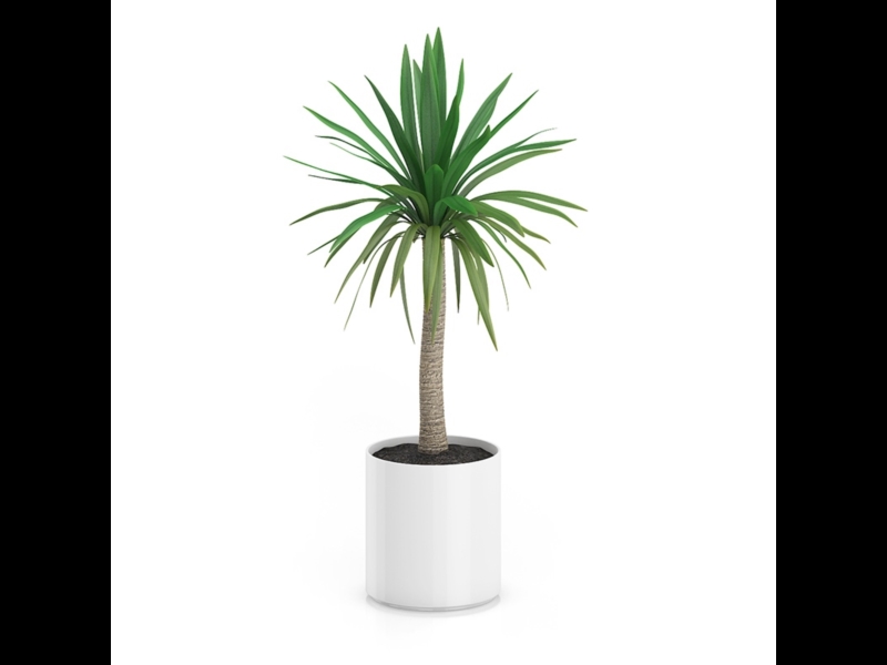 mentone walkability - Walking Maps