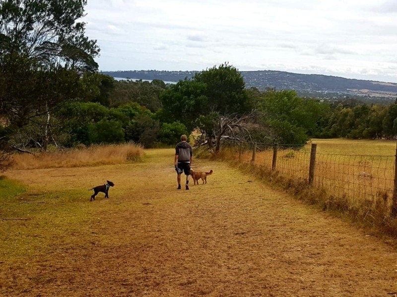 Hillview Community Reserve Walk - Walking Maps